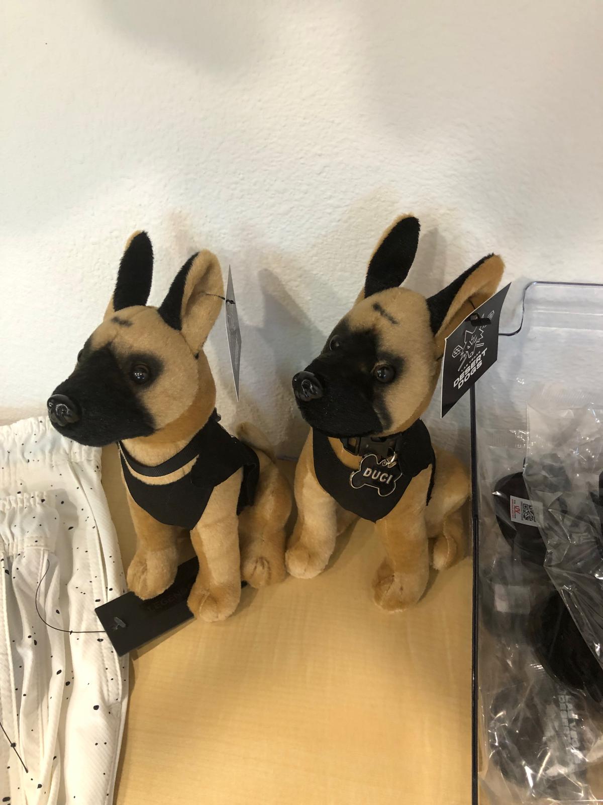 Barking up the Retail Tree: The Las Vegas Desert Dogs Open the Team ...